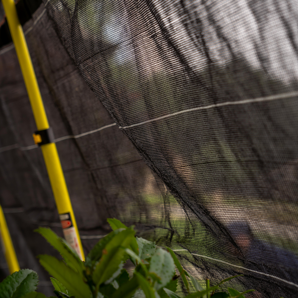 The Catch-All System