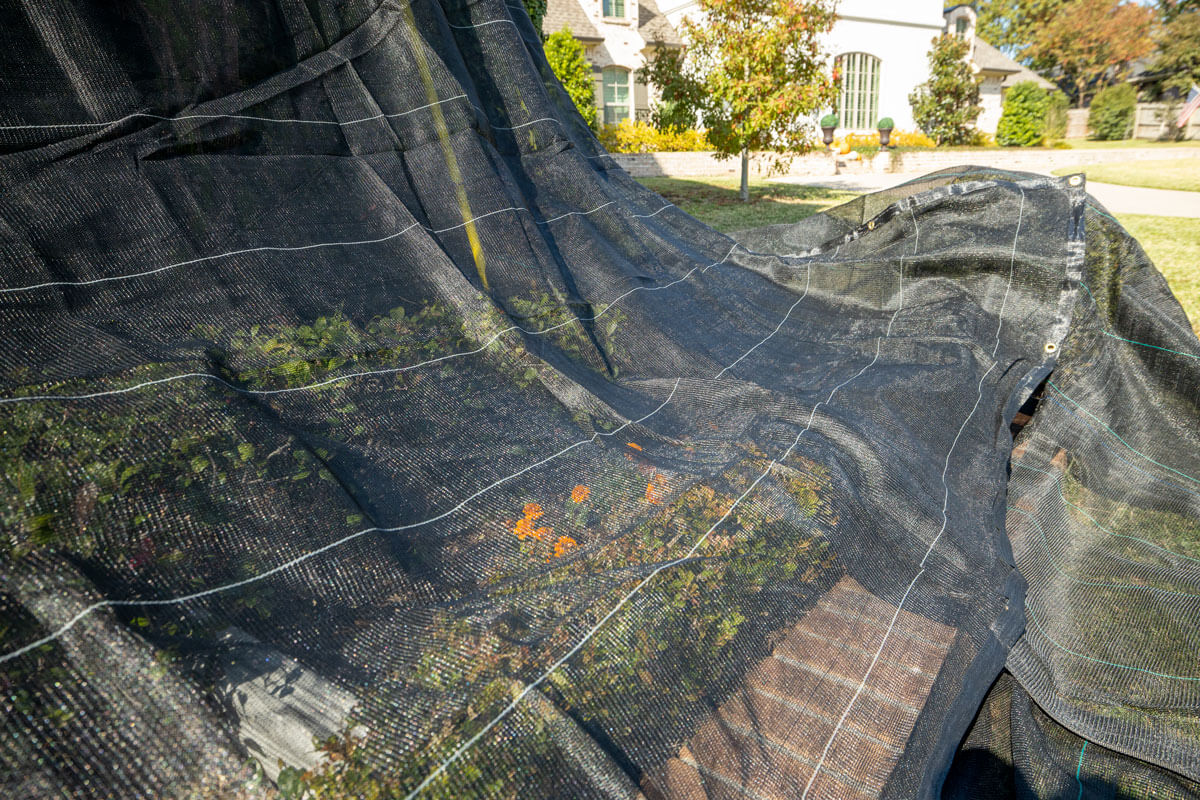 The Catch-All System