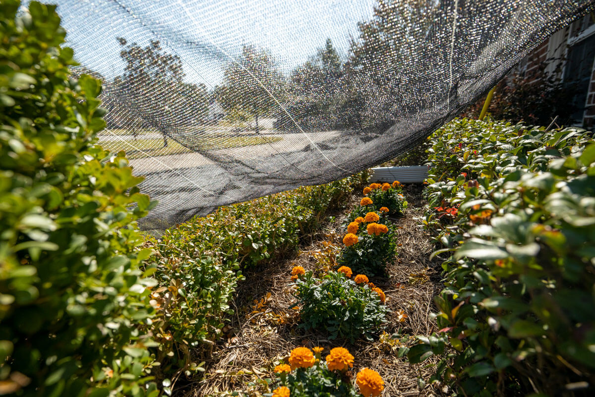 The Catch-All System